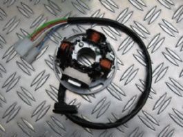 Leonelli Stator voor Derbi GPR 50R 1999-2004 Engine EBE, Derbi Senda R ...